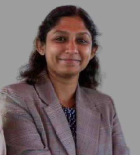 GRIDsentry - Technology and Product Developer